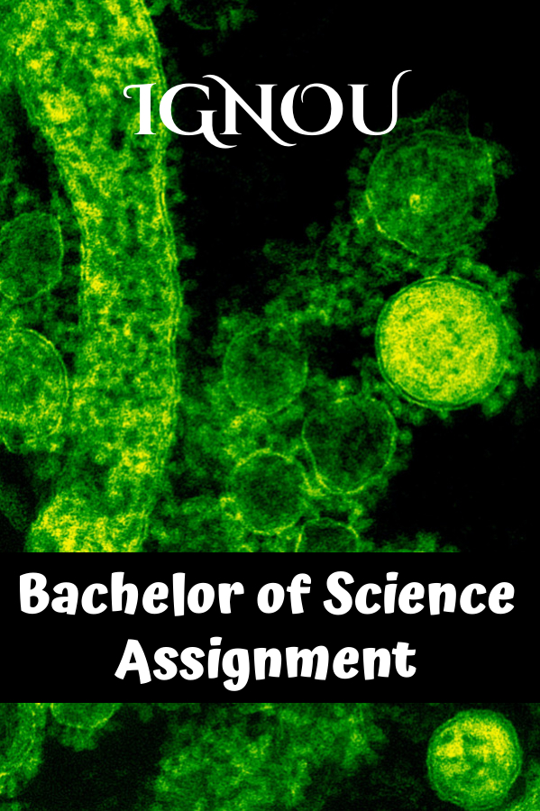 Get IGNOU BSCG Solved Assignments Latest Session pdf